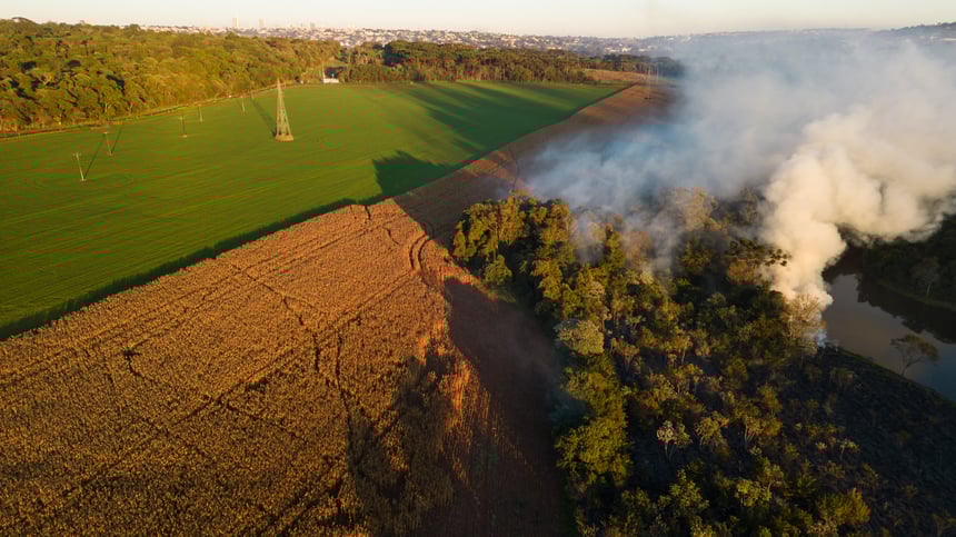 Understanding Wildfire Season: Impacts, Prevention, and Protection